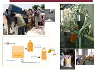 Large Scale Food Fortification | PPT
