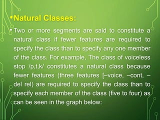 Presentation natural-classes-and-naturalness-2-3 | PPTX
