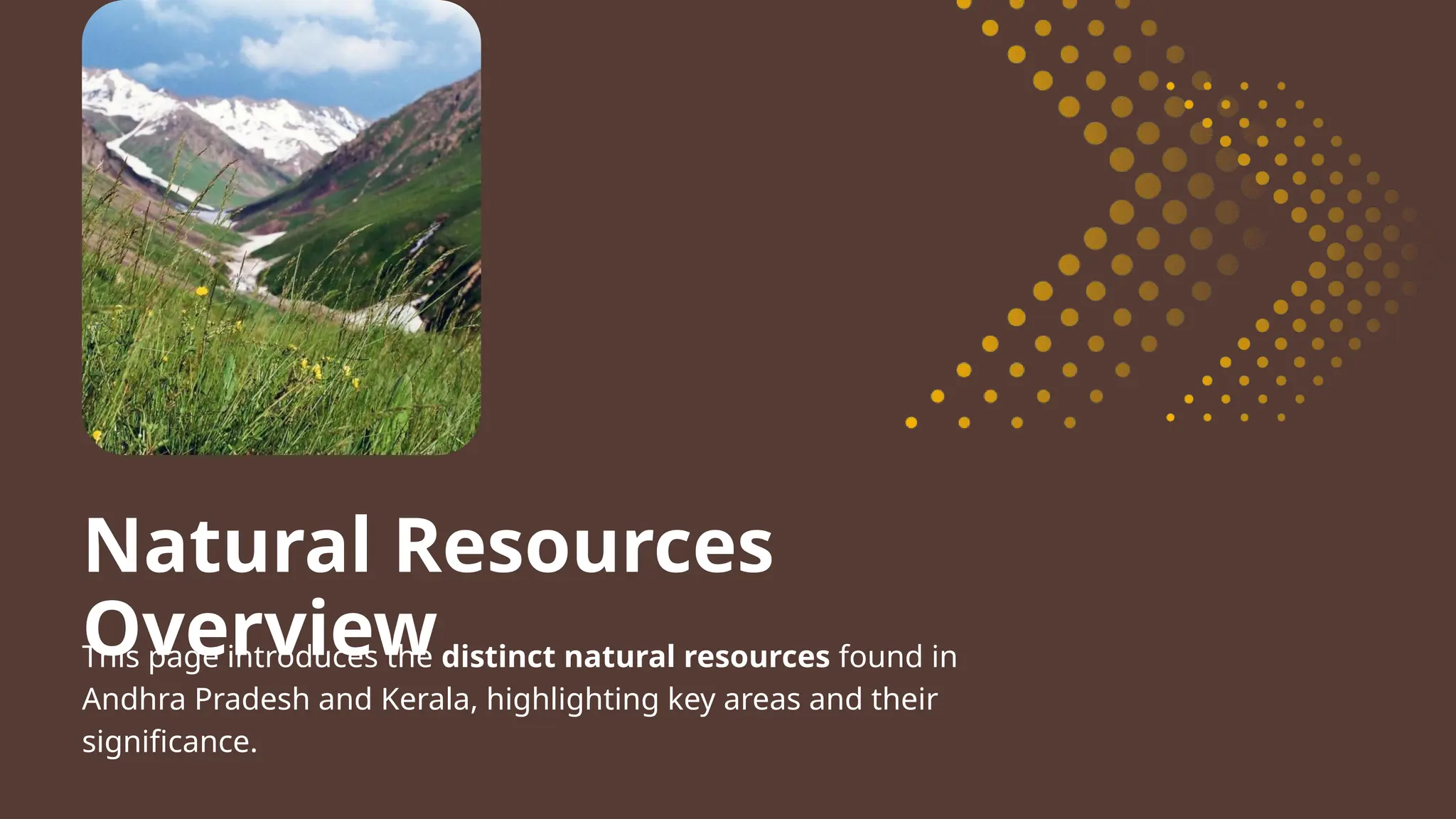 Presentation - Natural Resources Comparison_20250802_115603_0000.pptx