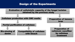 Production of cellulase and it's application | PPTX