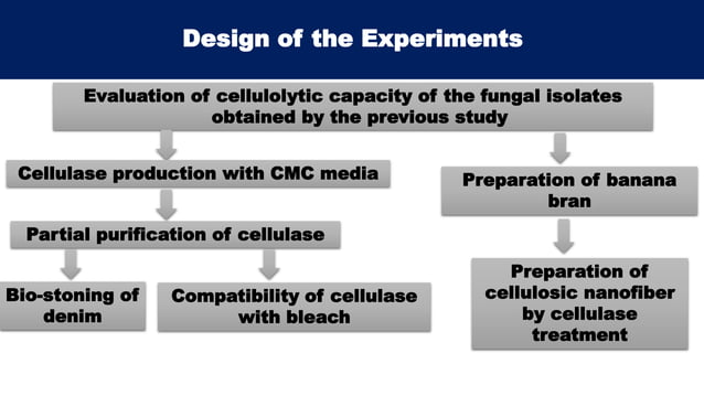 Production of cellulase and it's application | PPTX | Chemistry | Science
