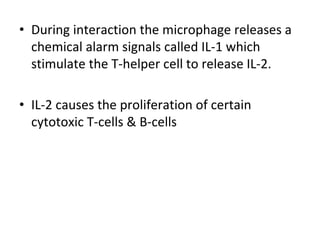 Presentation of-immunoregulation-full-research | PPTX