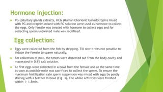 Koi Magur breeding technique | PPT