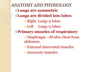 Presentation-of Respiratory system.pptx
