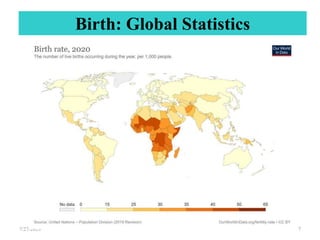 Birth in Demography | PPTX