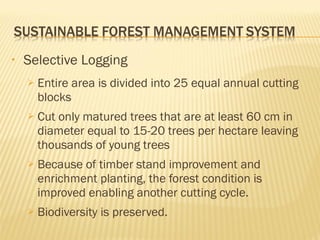 Presentation On Logging Ban Moratorium Final Long | PPT