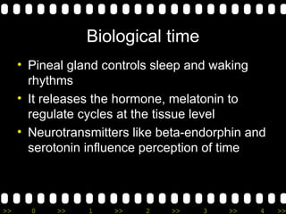 Perception Of Time | PPT