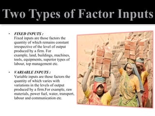 Production Function | PPT
