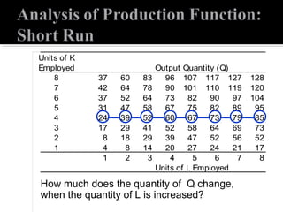 Production Function Table