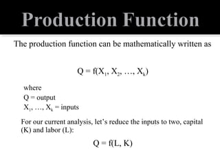 Production Function Equation