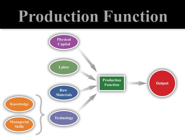 Production Function