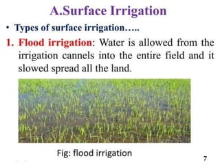Role Of Irrigation In Agriculture | PPT