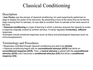 AP Psych Final Project | PPT