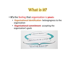 Sense of ownership | PDF