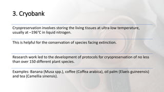 Presentation - PBG - 701 (Genebank).pptx