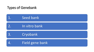 Presentation - PBG - 701 (Genebank).pptx