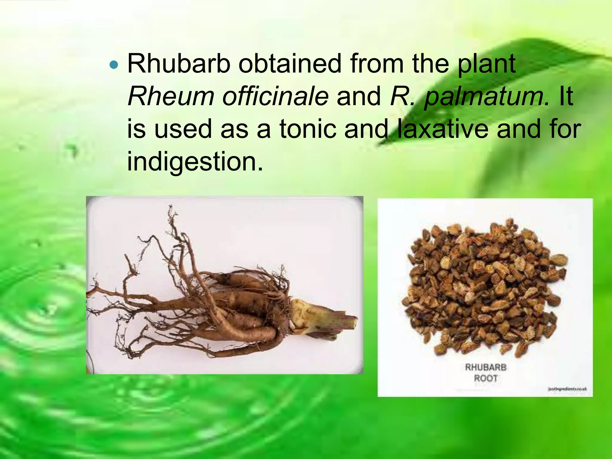 Plant as a source of drugs | PPTX