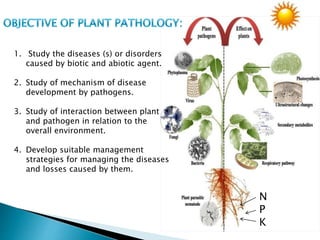 Plant Pathology | PPTX