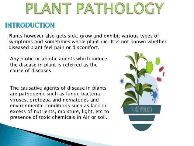 Plant Pathology