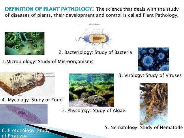 Plant Pathology