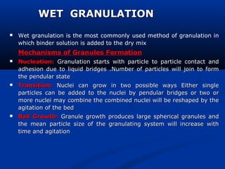 Presentation process-scale-up-and-critical-control-parameters-1 | PPT