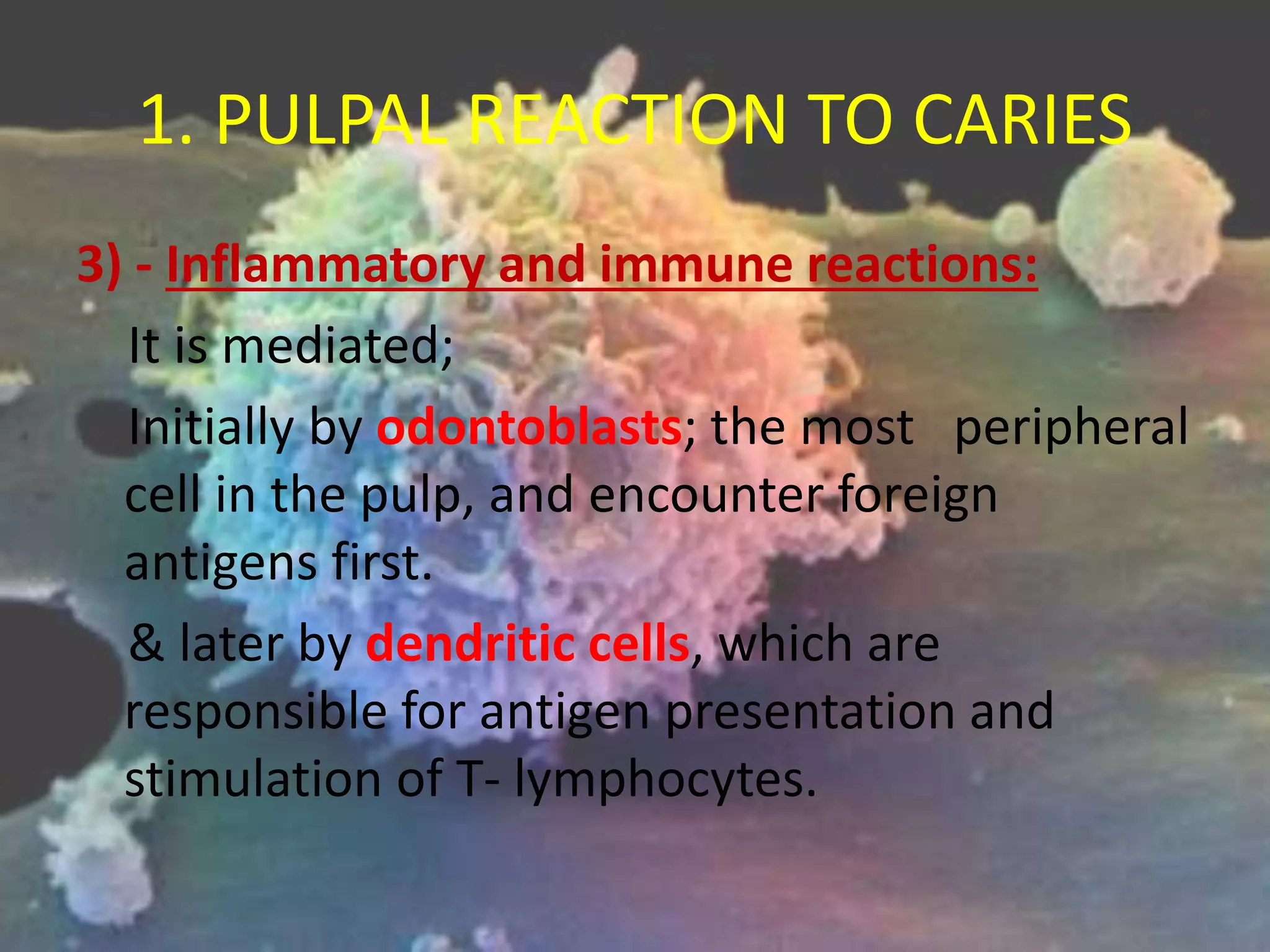 Pulpal Reactions to Dental Caries and Dental Proceudres | PPTX