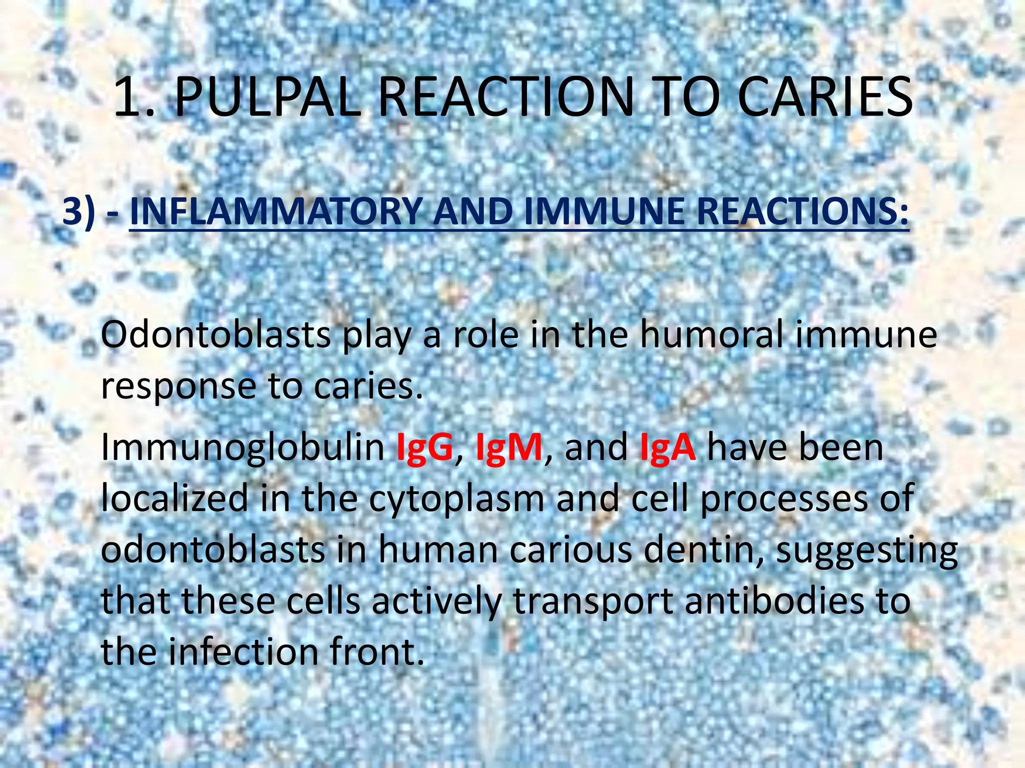 Pulpal Reactions to Dental Caries and Dental Proceudres | PPTX