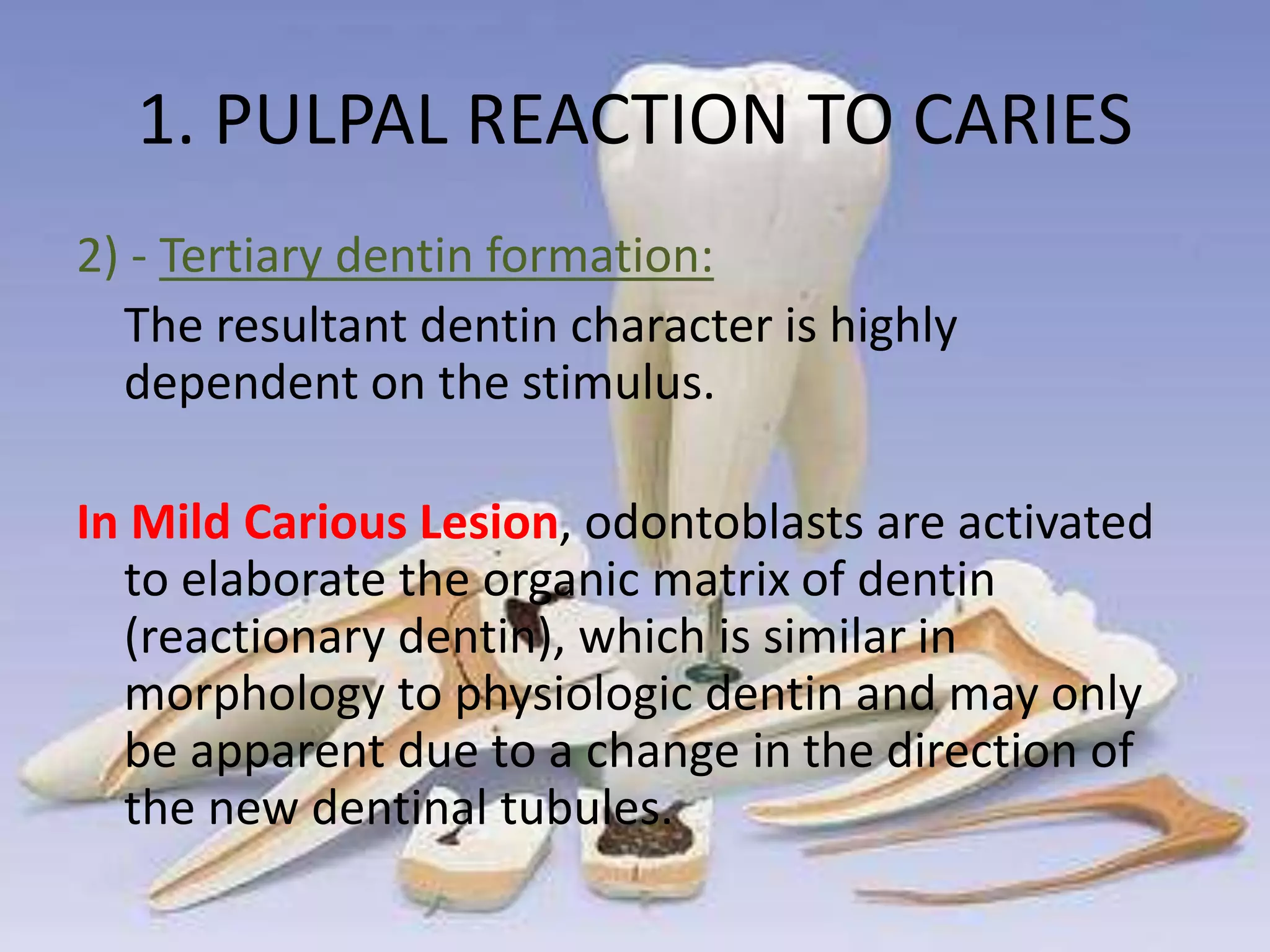 Pulpal Reactions to Dental Caries and Dental Proceudres | PPTX