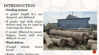 Presentation on sawmill | PPTX