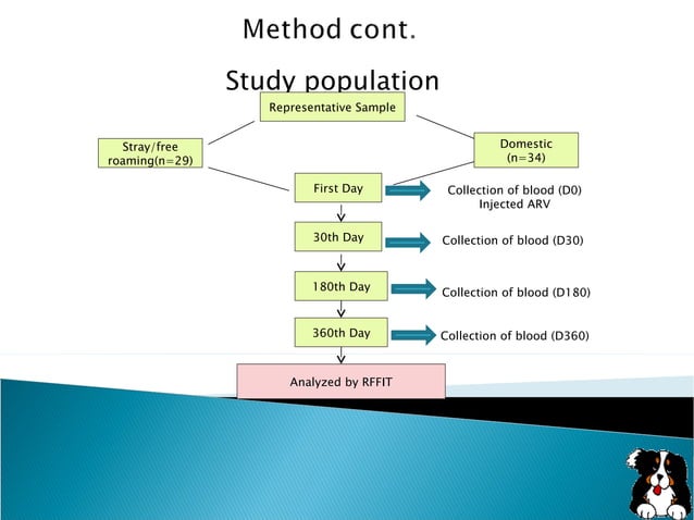 Presentation Riacon Ppt