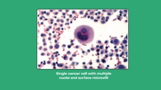 Presentation - Routine Examination of Body Fluids An Overview.pdf.pdf