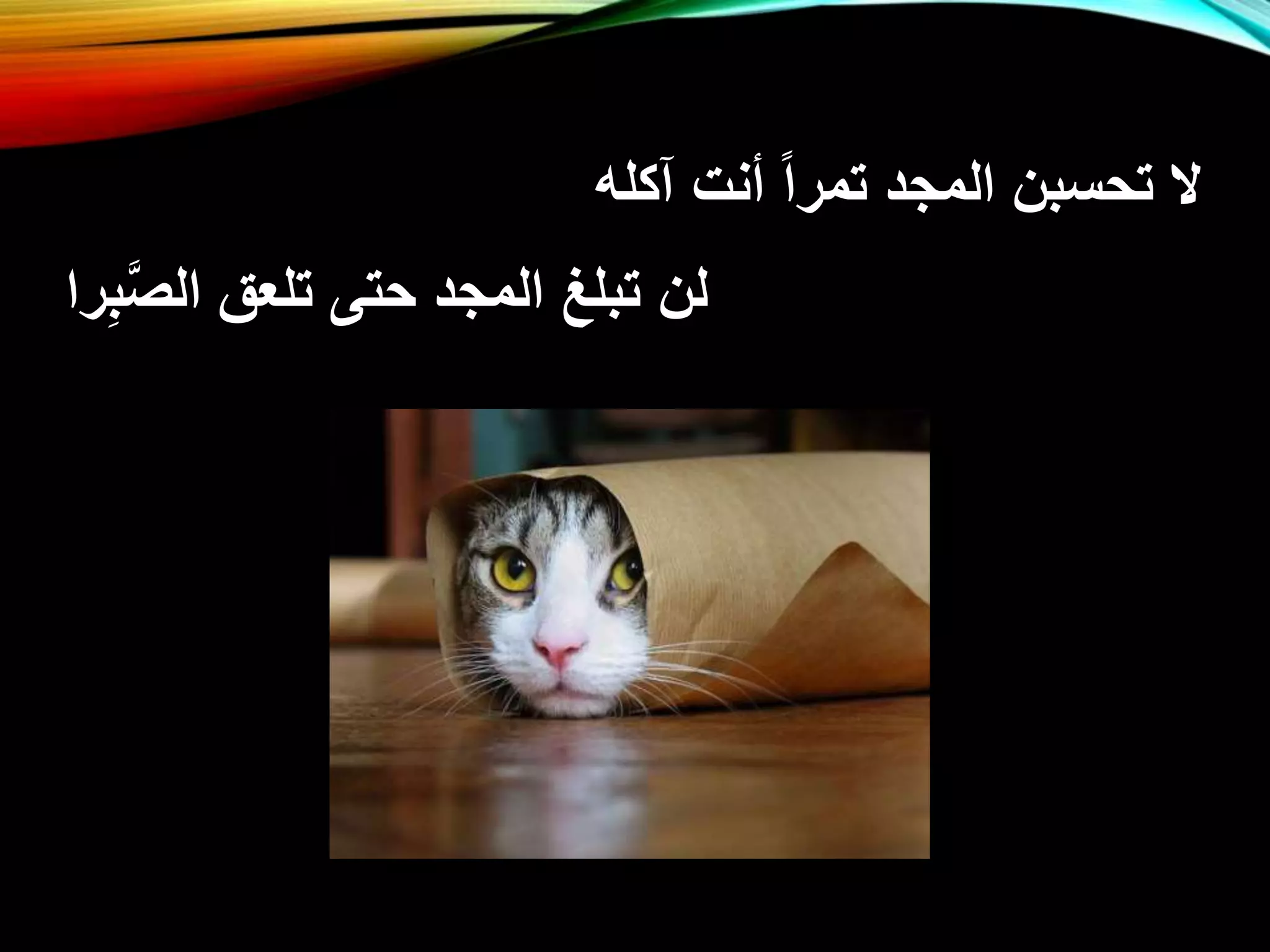 Presentation salah taha | PPT Presentation salah taha | PPT