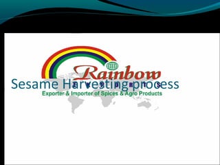 Presentation sesame seeds | PPT