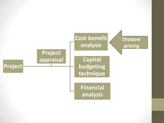 shadow pricing | PPTX