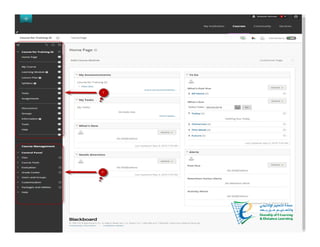Blackboard (Learning Management System) | PDF