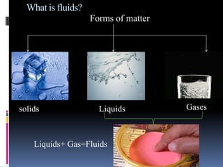 Fluid Mechanics and Hydraulics Introduction ppt | PPTX