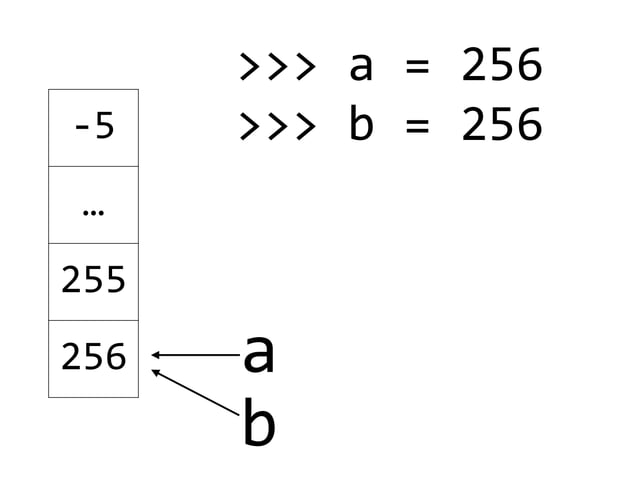 Investigating Python Wats | PPT