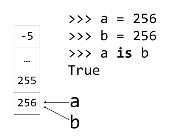 Investigating Python Wats | PPT