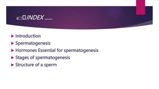 Presentation - Spermatogenesis.pptx