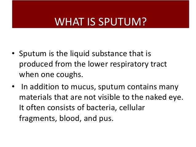 Presentation sputum....by gloria asantewaa