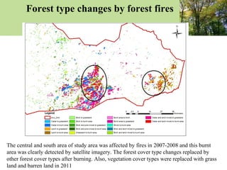 Presentation the impact of forest fire on forest cover types 03 ...