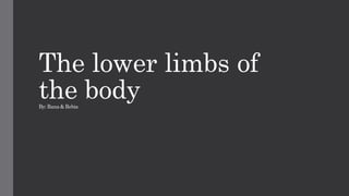 Presentation - The Lower limb presentation about lower limb anatomy ...