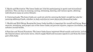 Presentation - The Lower limb presentation about lower limb anatomy ...