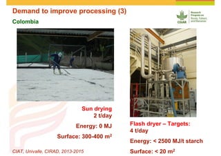 Cassava and the environment: inputs, outputs and externalities | PPT