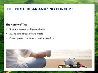 History of Tea & Its Growing Popularity in the US | PPTX