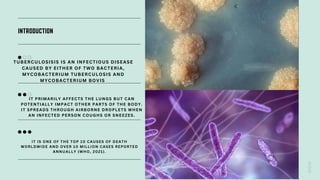 Presentation based on disease Tuberculosis.pdf