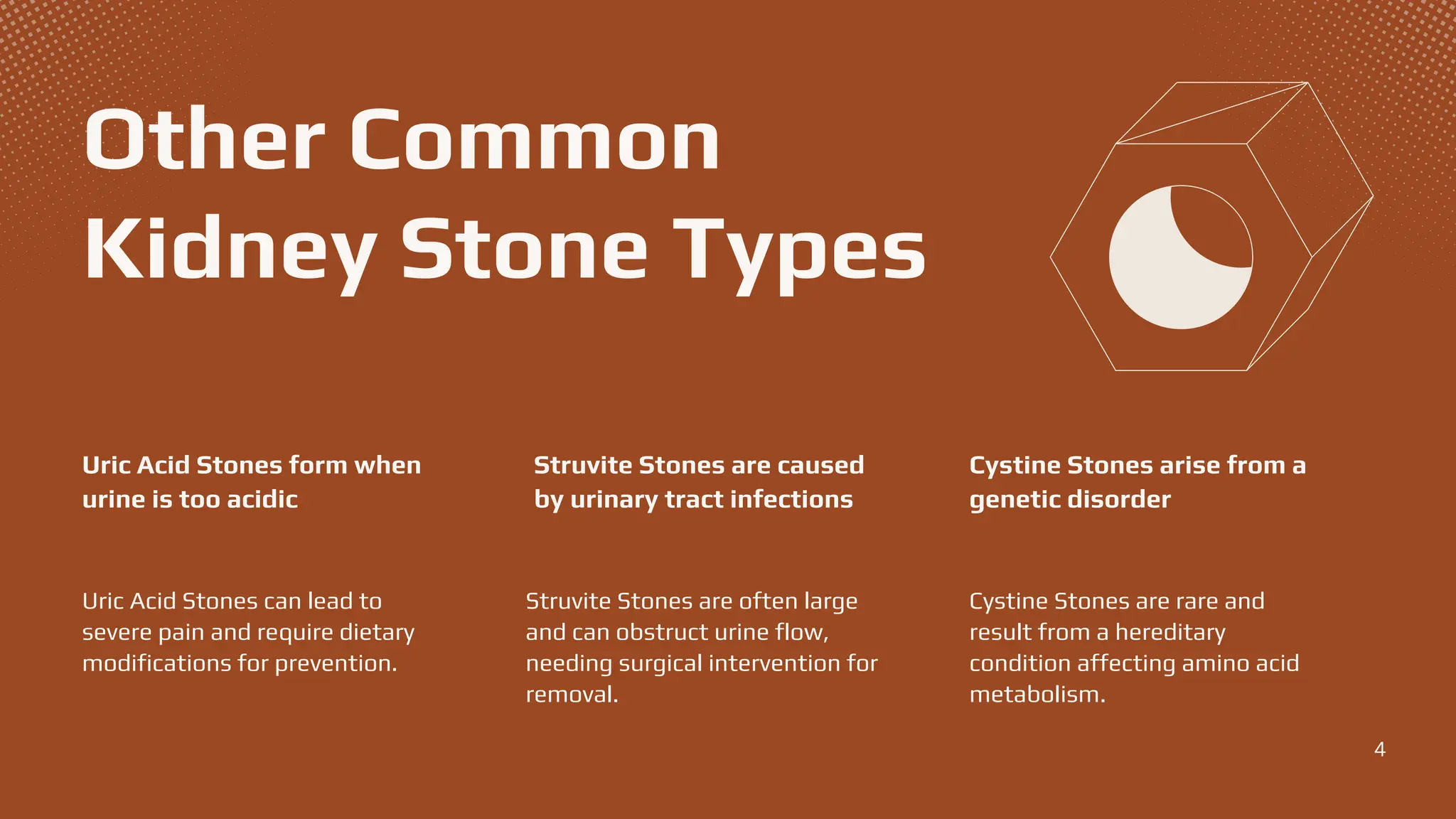 Presentation - Understanding Kidney Stones Causes and Solutions (1).pdf