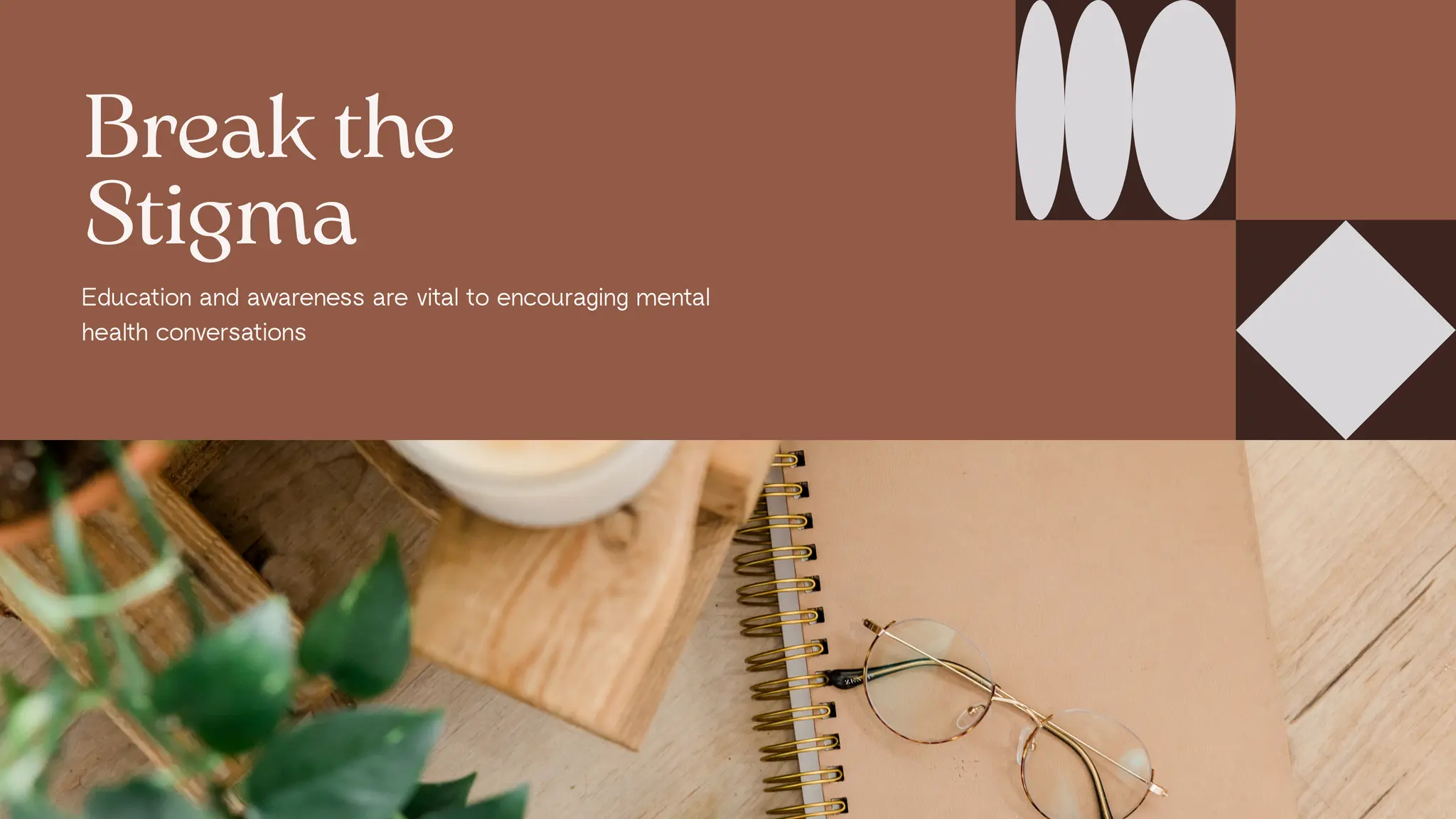 Herrick Lipton on Understanding Mental Health.pdf