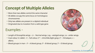 Multiple Alleles: Concepts, Examples and Inheritance Patterns.pptx