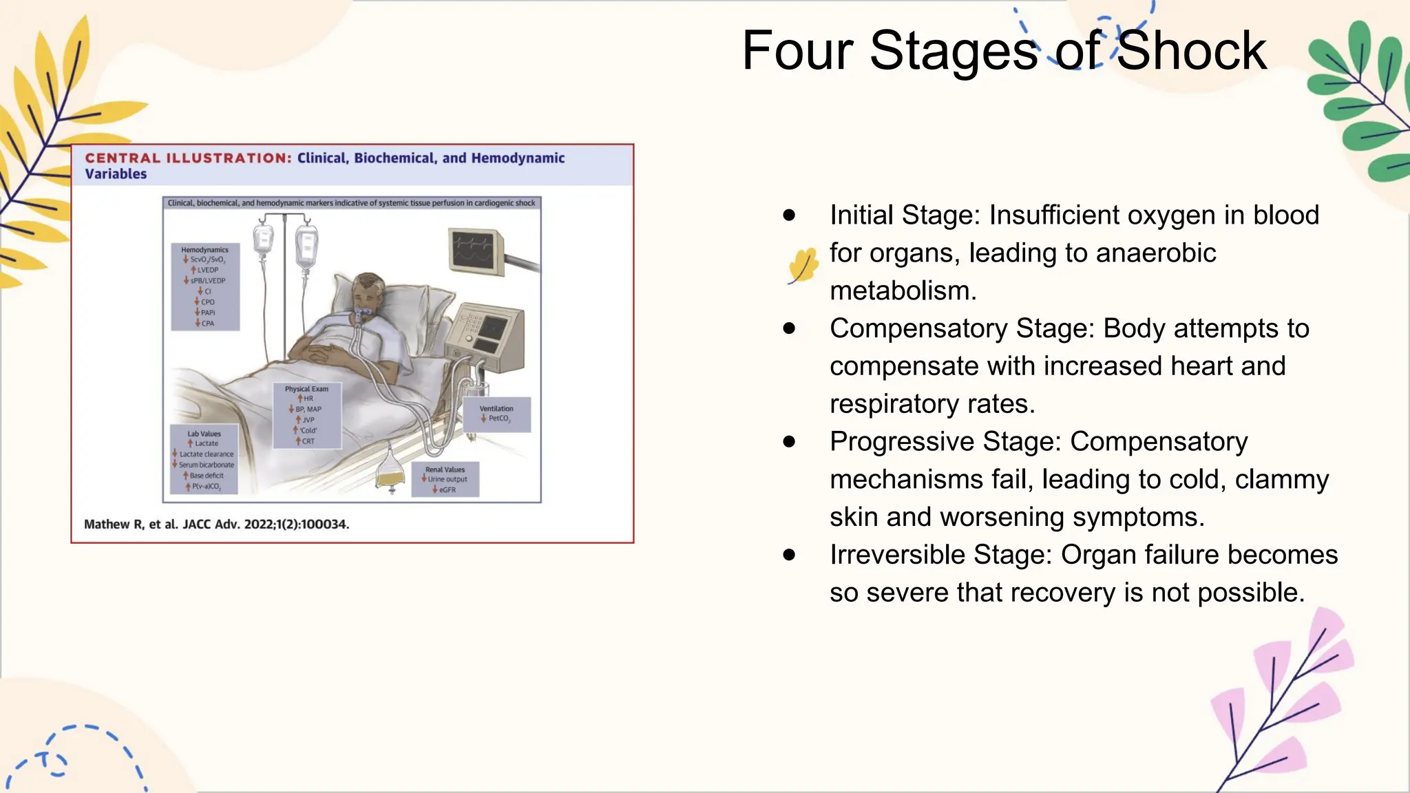 The Mechanism and Pathophysiology of Shock | PPTX